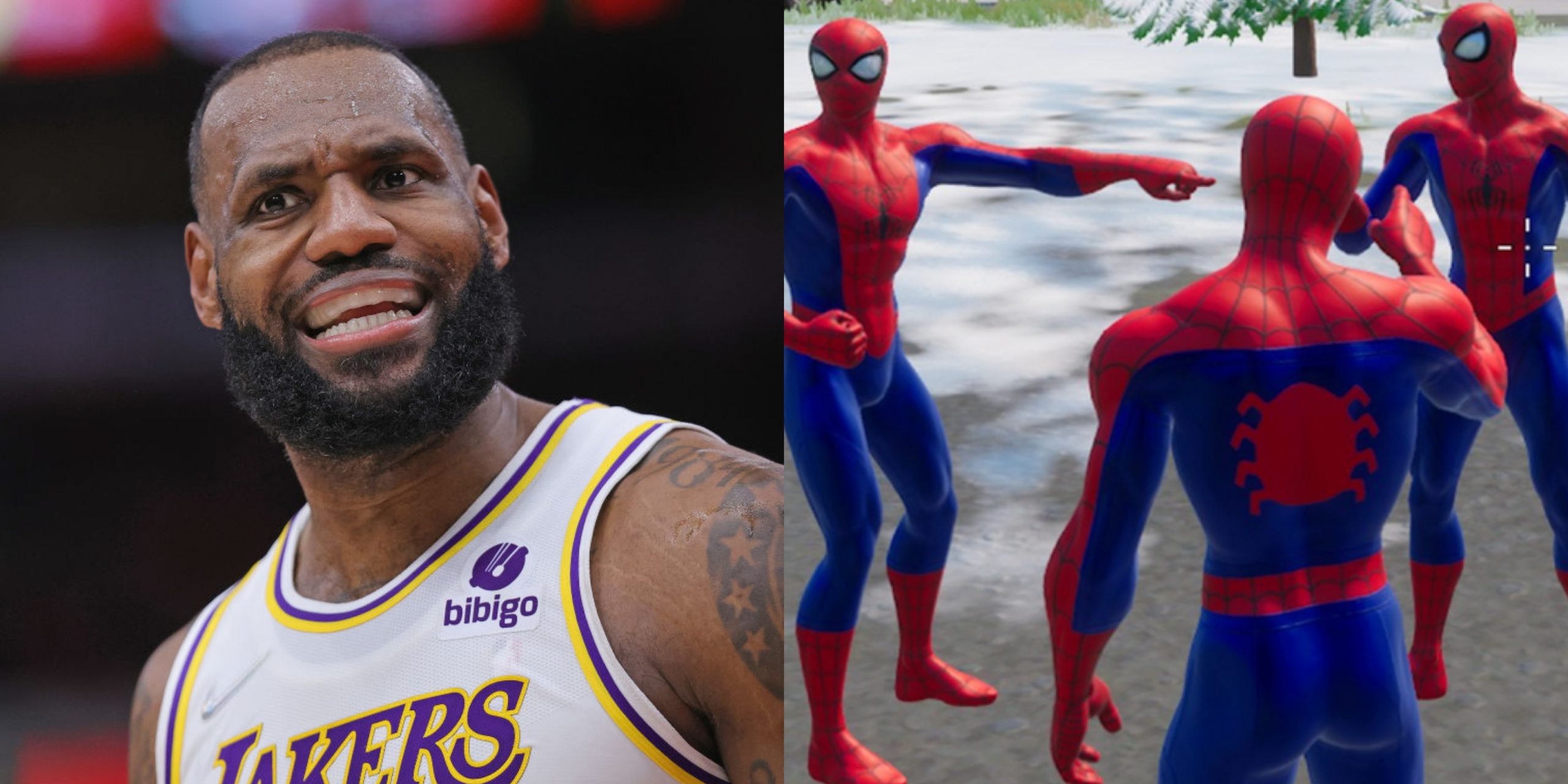 Lebron Spider Man