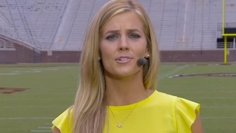 NFL fans Complimented Sam Ponder On Her Outfit