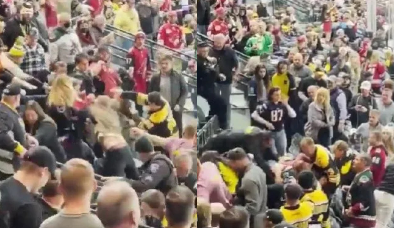 Hockey Fan Arrested After Biting Finger Off Guy