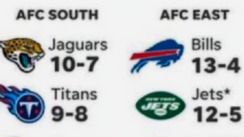 NFL Fans React To USA Today's Way-Off 2023 Record Predictions