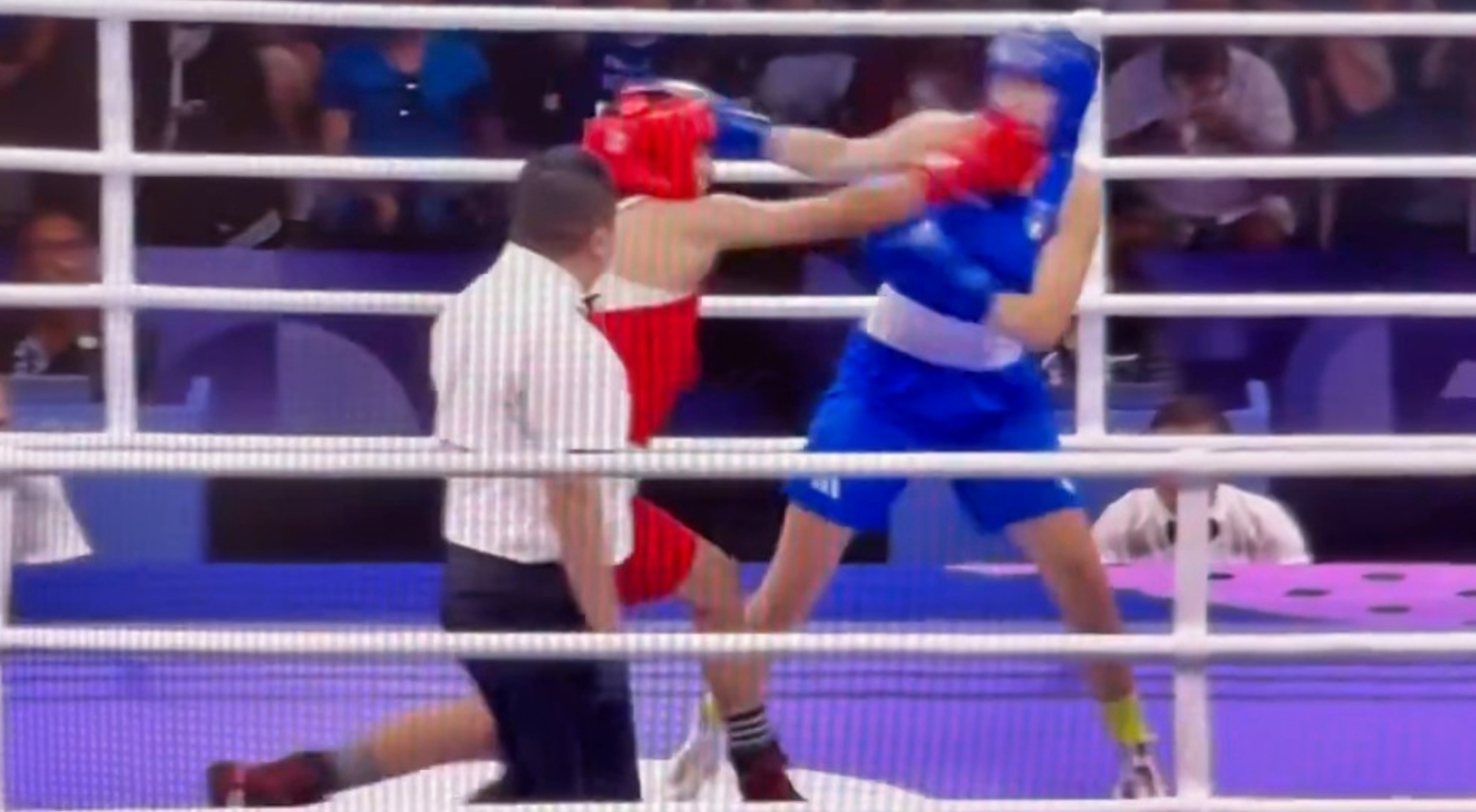 VIDEO: Social Media Was Outraged Watching Italian Female Boxer Quit ...