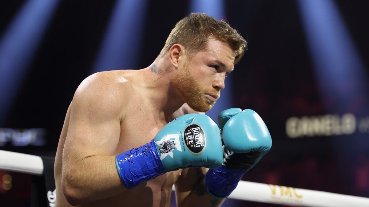 How Many Undefeated Fighters Has Canelo Alvarez Defeated In His Boxing ...