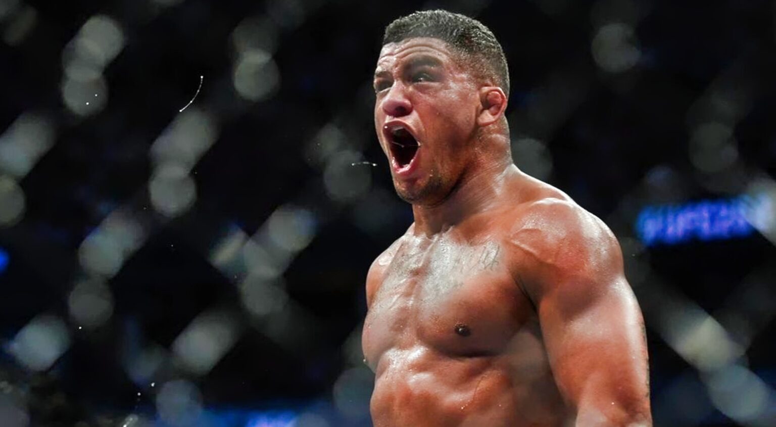 Is The Brazilian Reign Coming To An End In The UFC? Here’s A List Of ...