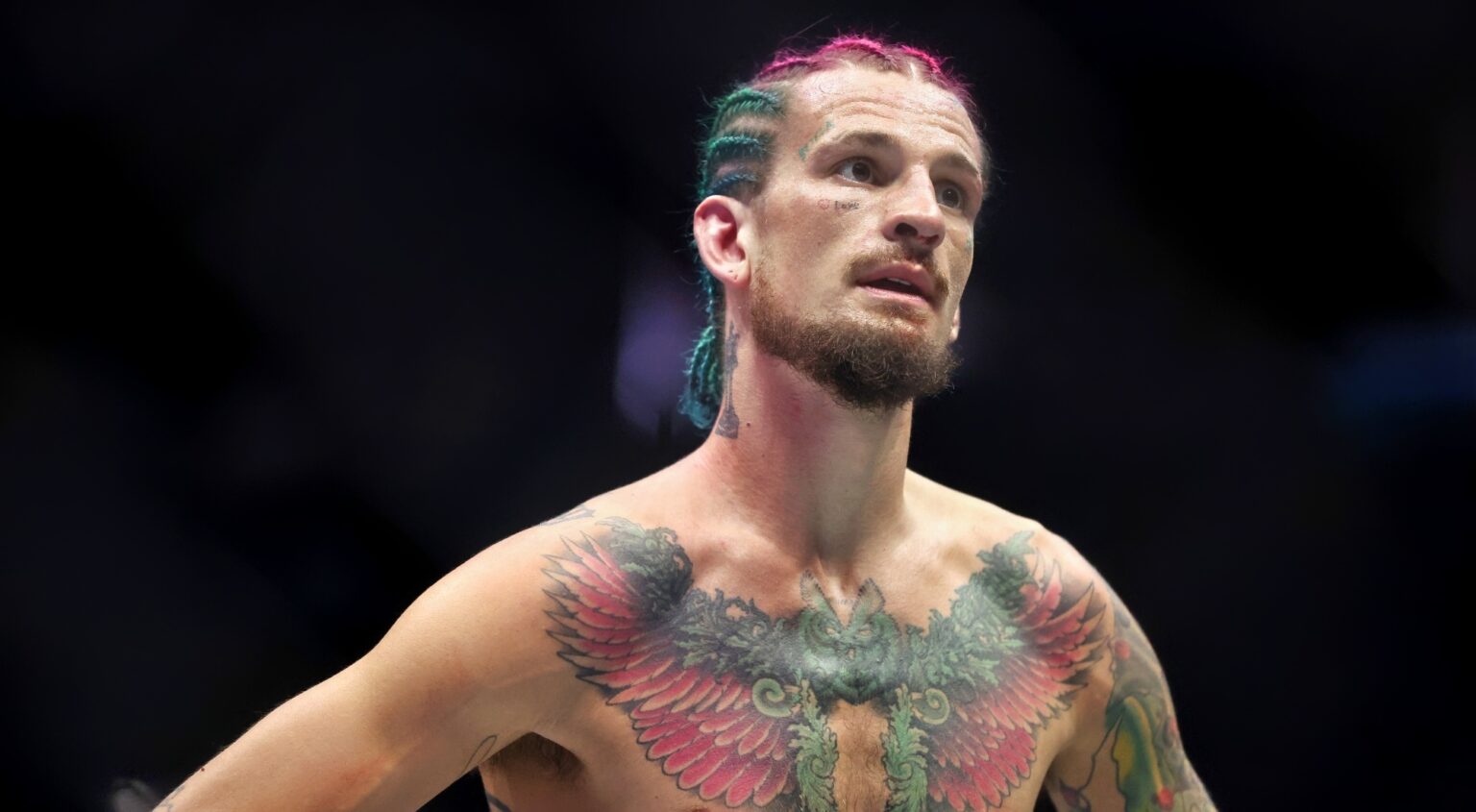 Sean O’Malley Calls Petr Yan a "Scary" and Highly Skilled Fighter in ...