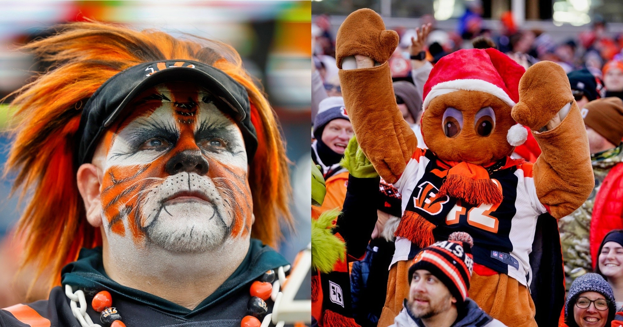 Sour Cincinnati Bengals Fans Started A Petition Demanding That The NFL ...