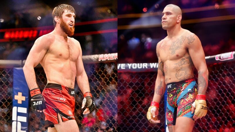 UFC 320: How To Watch Magomed Ankalaev vs. Alex Pereira Live In USA, UK ...