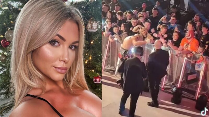 OnlyFans Model's Ban After Angering CM Punk And Cody Rhodes