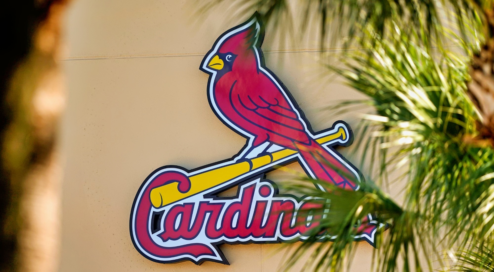 Former Cardinals Fan Favorite Announces MLB Retirement