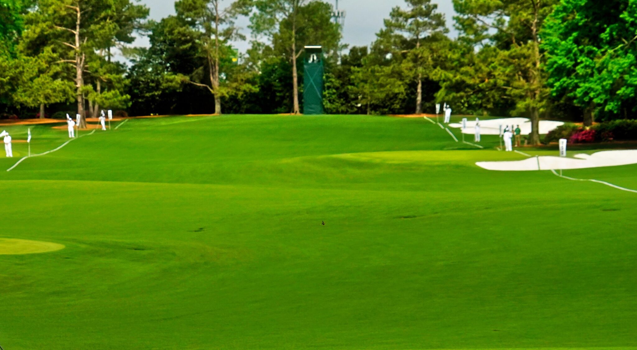 FACT CHECK: Is The Viral Video Of Multiple Women Driving Golf Carts ...