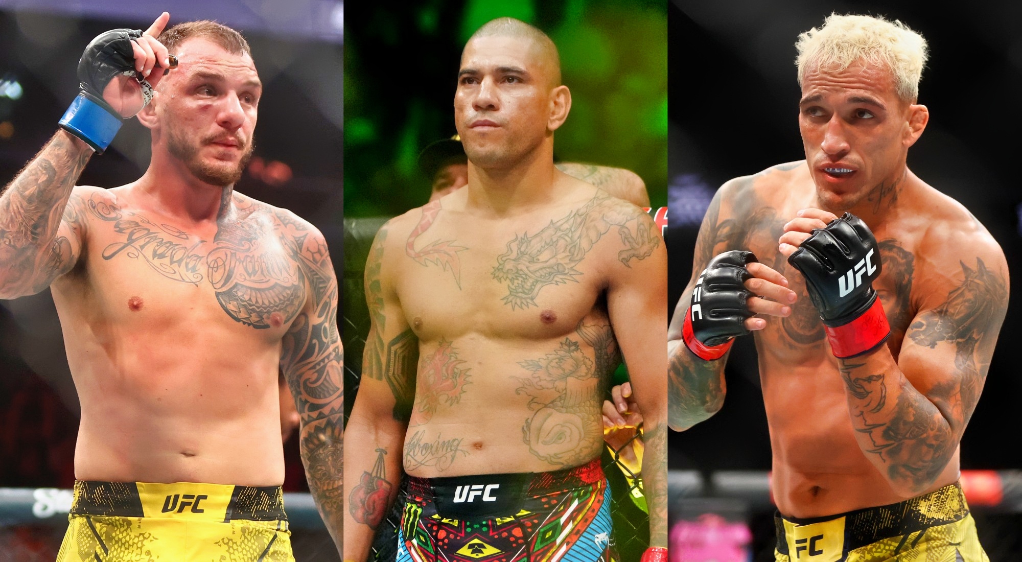 Is The Brazilian Reign Coming To An End In The UFC? Here’s A List Of ...