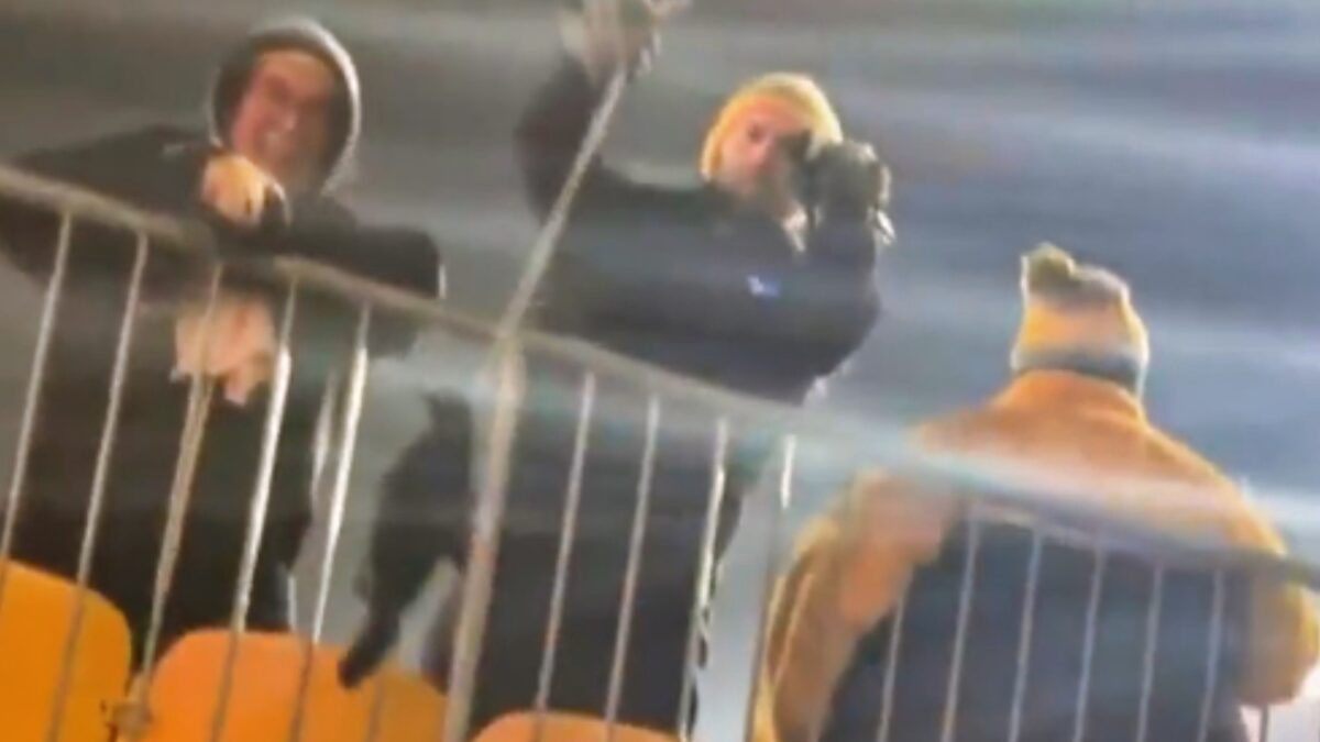Pittsburgh Steelers Fans Allegedly Killed a Raven Bird, Taunted ...