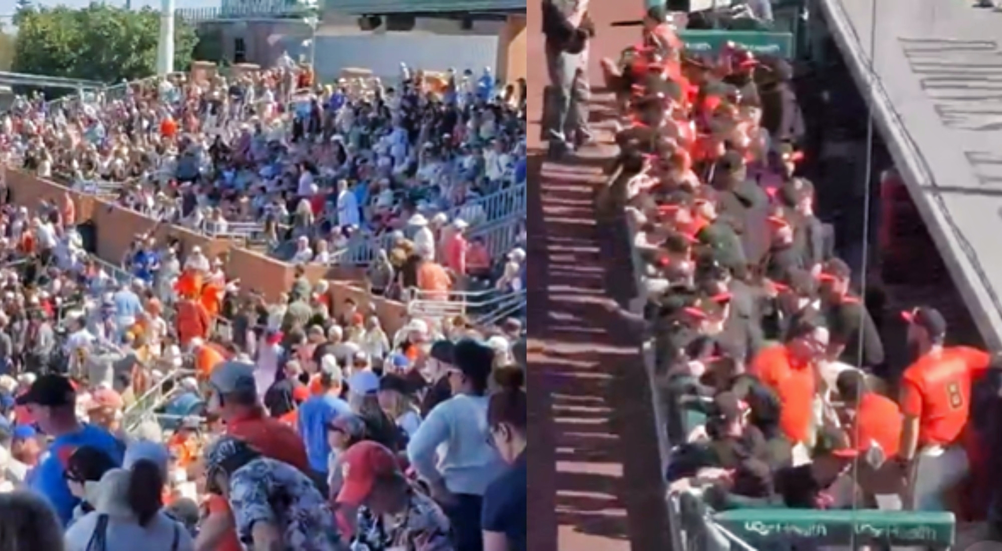 MLB Fans Leave Stadium After Wild Moment During Cubs-Giants Spring ...