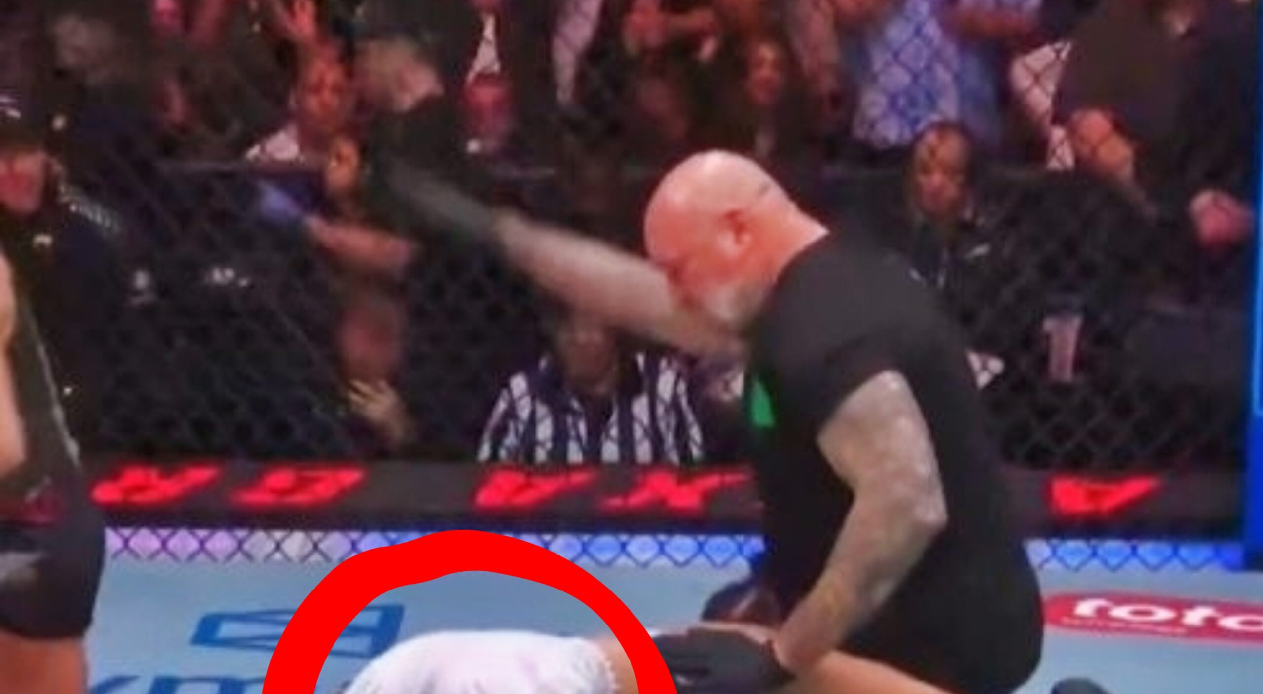 Maycee Barber Pooped Herself After KO Loss to Alexa Grasso