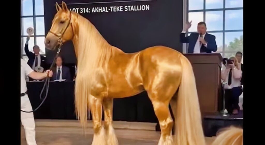 Fact Check: Is The Viral $14-Million Gold Horse Real?