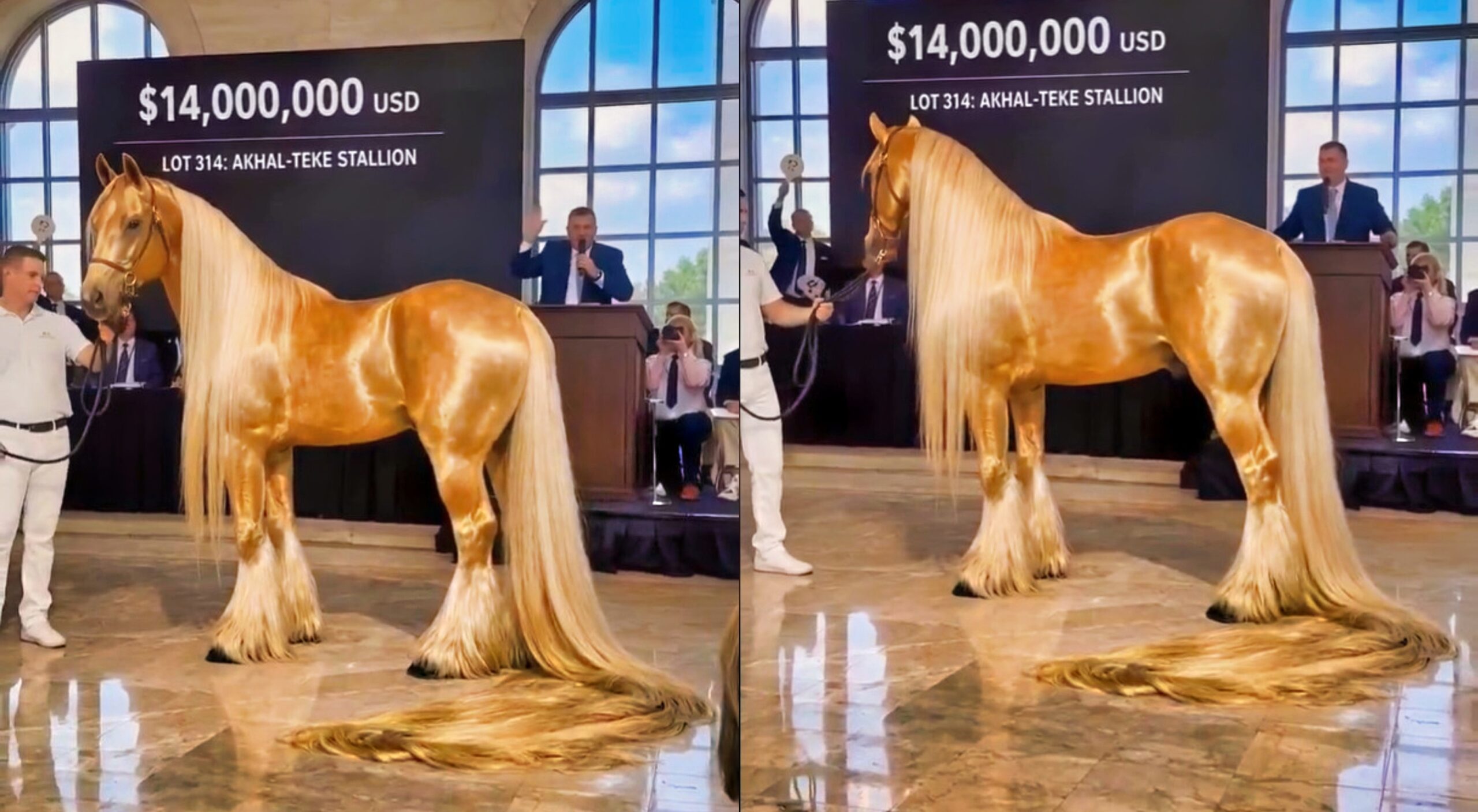 Fact Check: Is The Viral $14-Million Gold Horse Real?