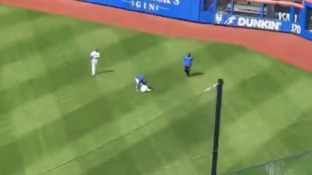 Horror At The Ballpark As Brutal Collision Leaves Bird Dead In The ...