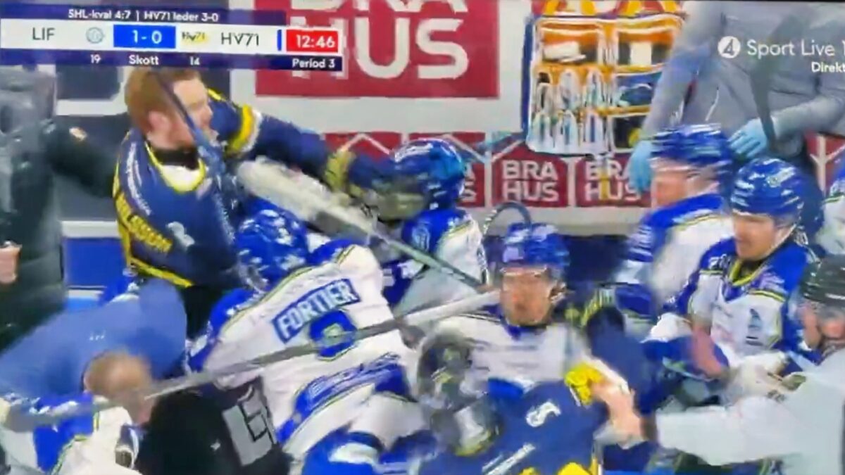 Hockey Player Jumps Into Opposing Bench, Fights The Entire Team During ...
