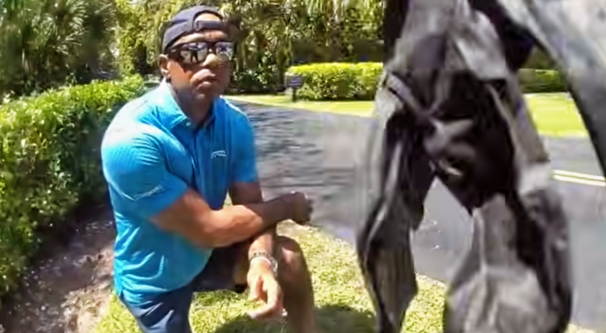 Shocking Police Body Cam Footage From Tiger Woods DUI Arrest Released ...