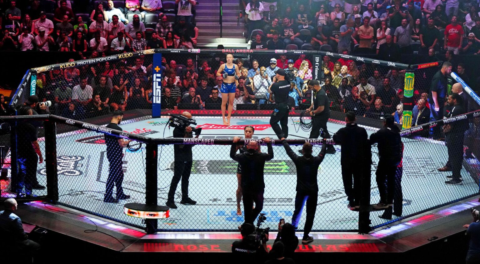UFC White House Event Facing Serious Threat From Nasty Bug Infestation