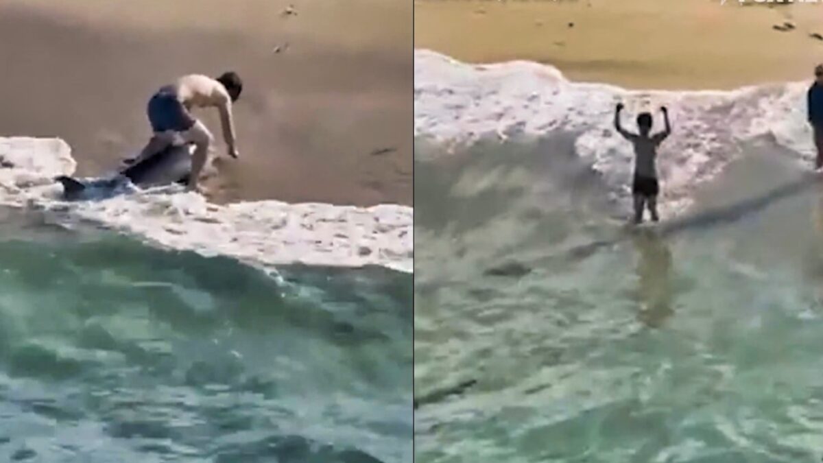 20-Year-Old Fisherman Is Going Viral After Rescuing Great White Shark ...