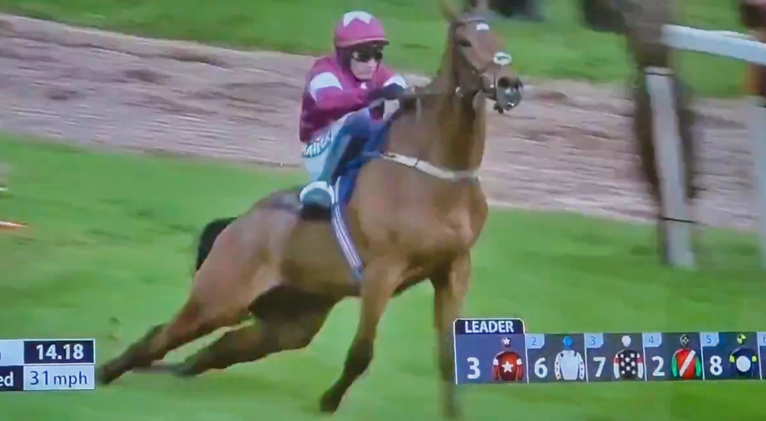 Gold Dancer Breaks Back During Race, Wins—Then Dies Moments Later [VIDEOS]