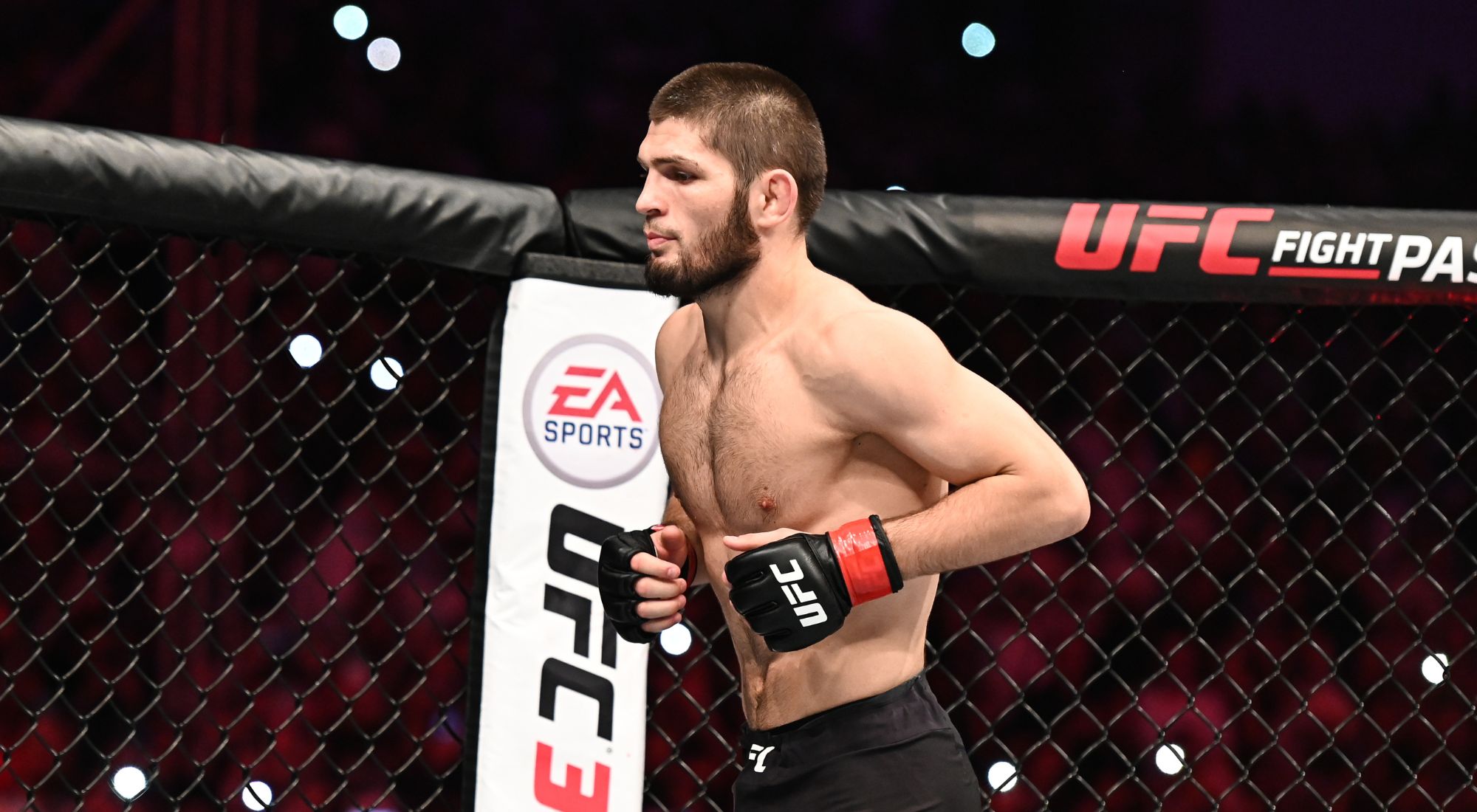 Khabib Nurmagomedov Reveals Why MMA Felt Easier Than Running Multiple ...