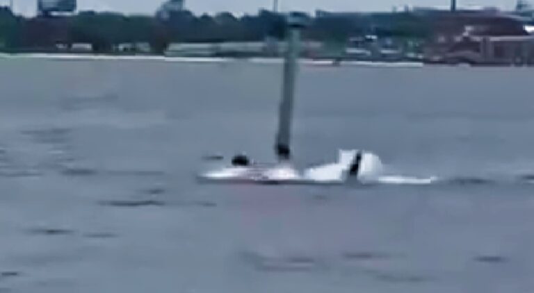 WATCH: Man Fights Off Shark During Terrifying Attack Near Florida Naval ...