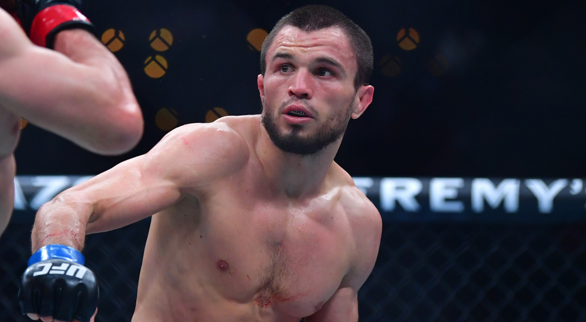 Umar Nurmagomedov Reveals The One Fight He Wants More Than The UFC ...