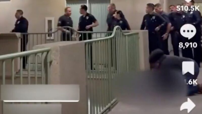 Dog Owner Devastated After Police Shot & Killed Her Labradoodle While ...