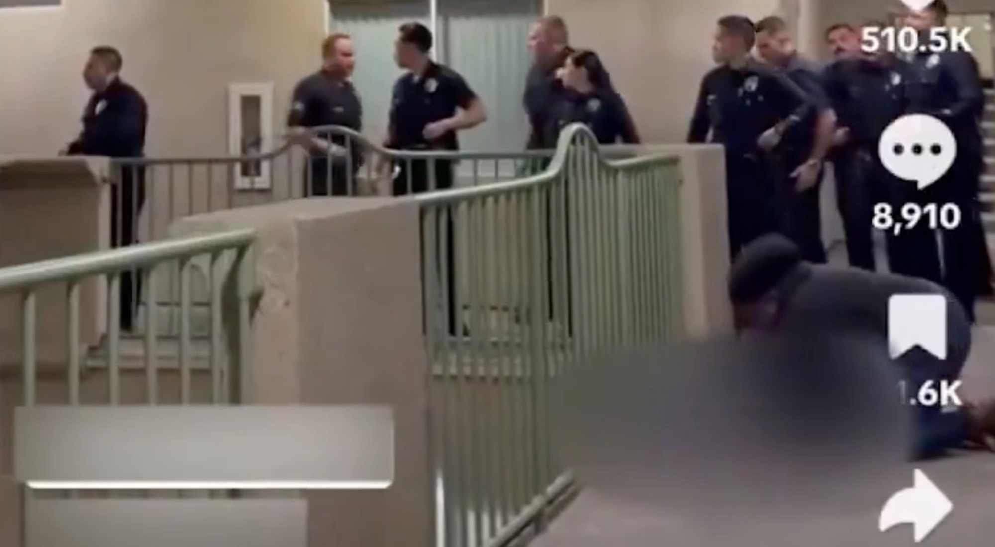Dog Owner Devastated After Police Shot & Killed Her Labradoodle While ...